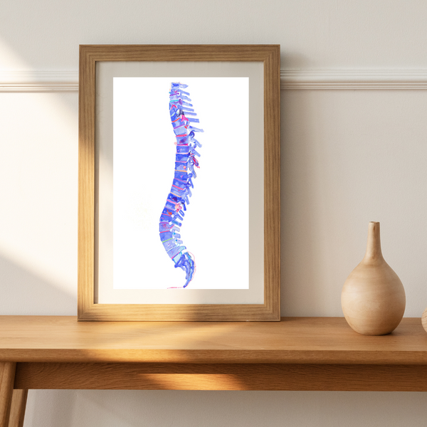 Human Anatomy Spine Abstract Anatomy Art Print, Chiropractic and Physi ...