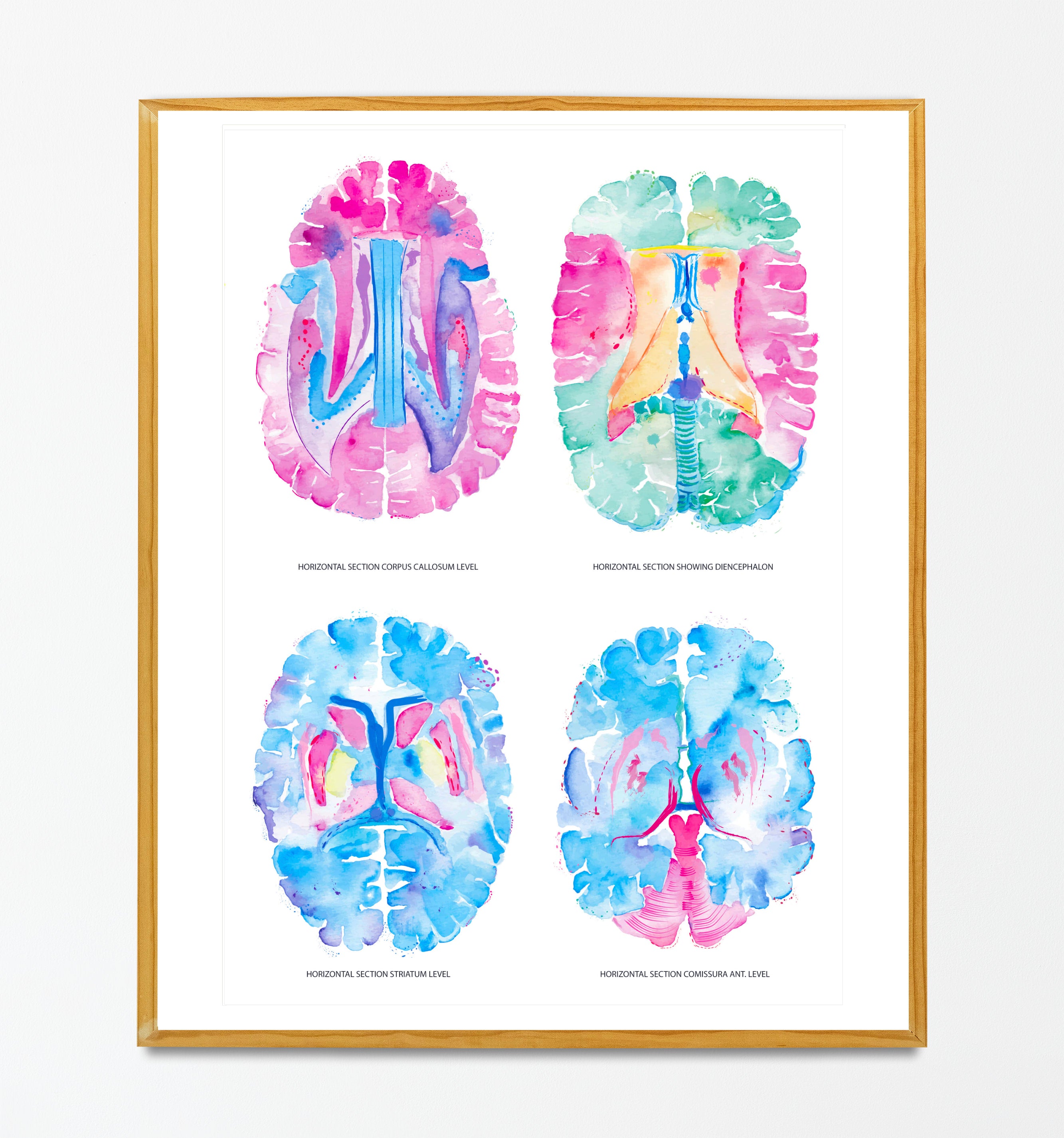 Brain Anatomy Artwork, Neurology Office Decor, Neuroscientist Gift ...