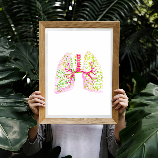 Lung and Pleural Lymph Node Anatomy Art Print - medpapers