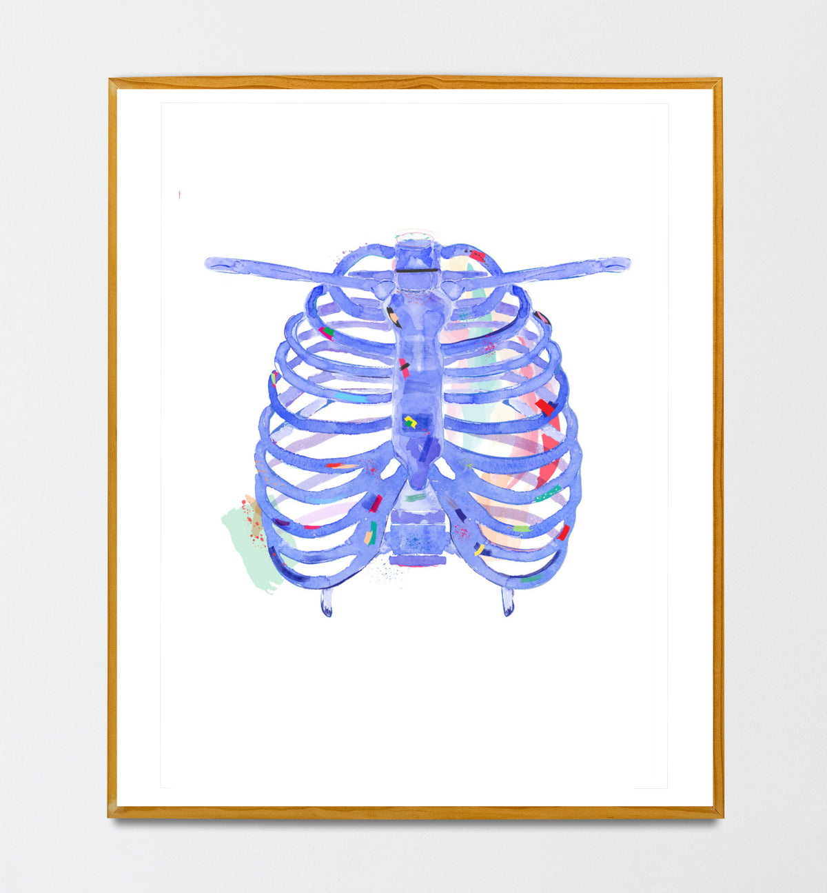 Rib cage Anatomy Artwork, Physical Therapy, Osteopathy, Chiropractic A ...