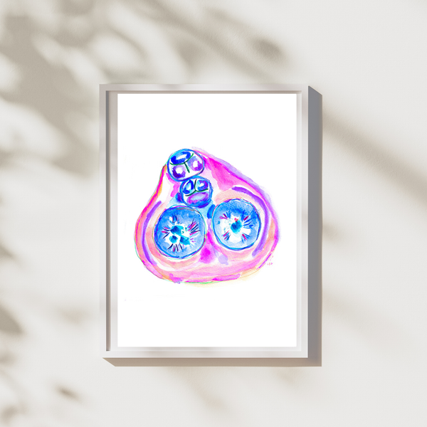 Cardiac Valves Anatomy Art Print - medpapers
