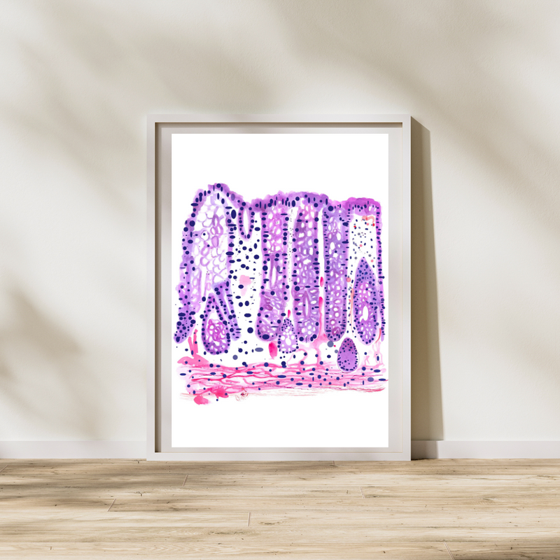 Colon Histology Art Print - medpapers