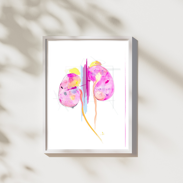 Kidney Art, Abstract Anatomy Art, Nephrology Office Art - medpapers