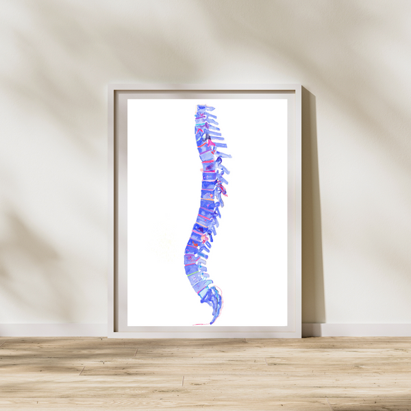Human Anatomy Spine Abstract Anatomy Art Print, Chiropractic and Physi ...