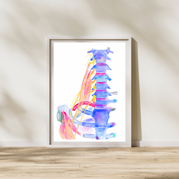 Products Tagged "cervical plexus anatomy art" - medpapers