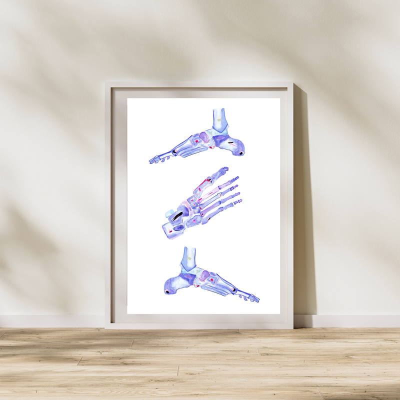 Foot Anatomy Art, Orthopedic Surgery Art, Podiatry Art Print - medpapers