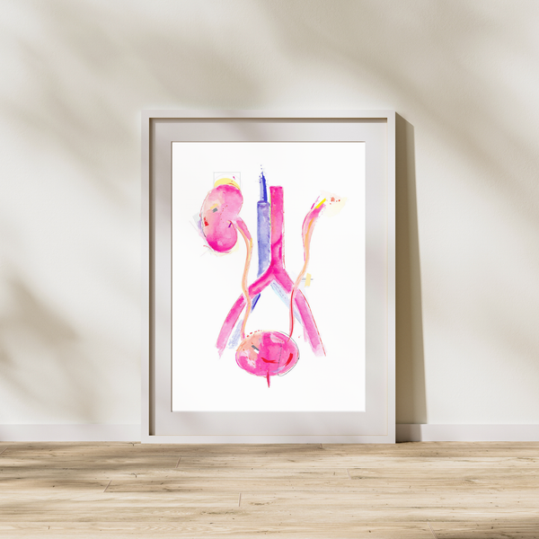 Bladder Anatomy Art Print, Urology Art Print, Nephrology Art Print ...