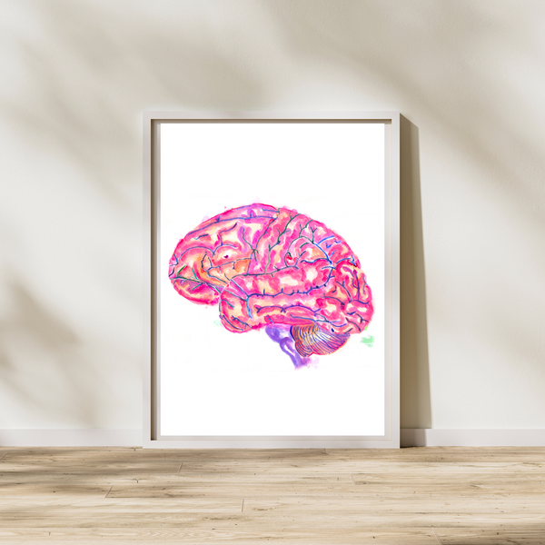 Human Brain Anatomy Art Print - medpapers