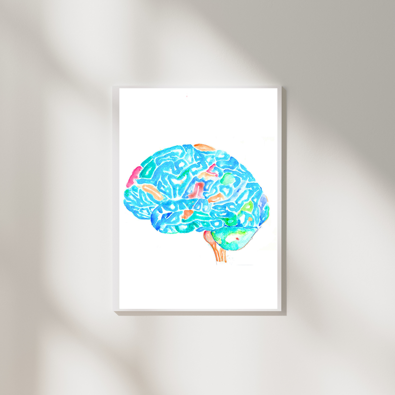 Brain Anatomy Art Print - medpapers