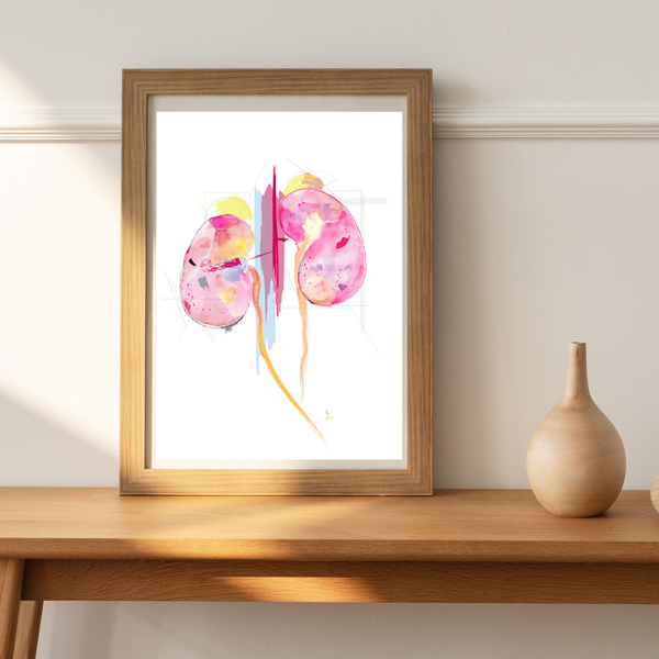 Kidney Art, Abstract Anatomy Art, Nephrology Office Art - medpapers