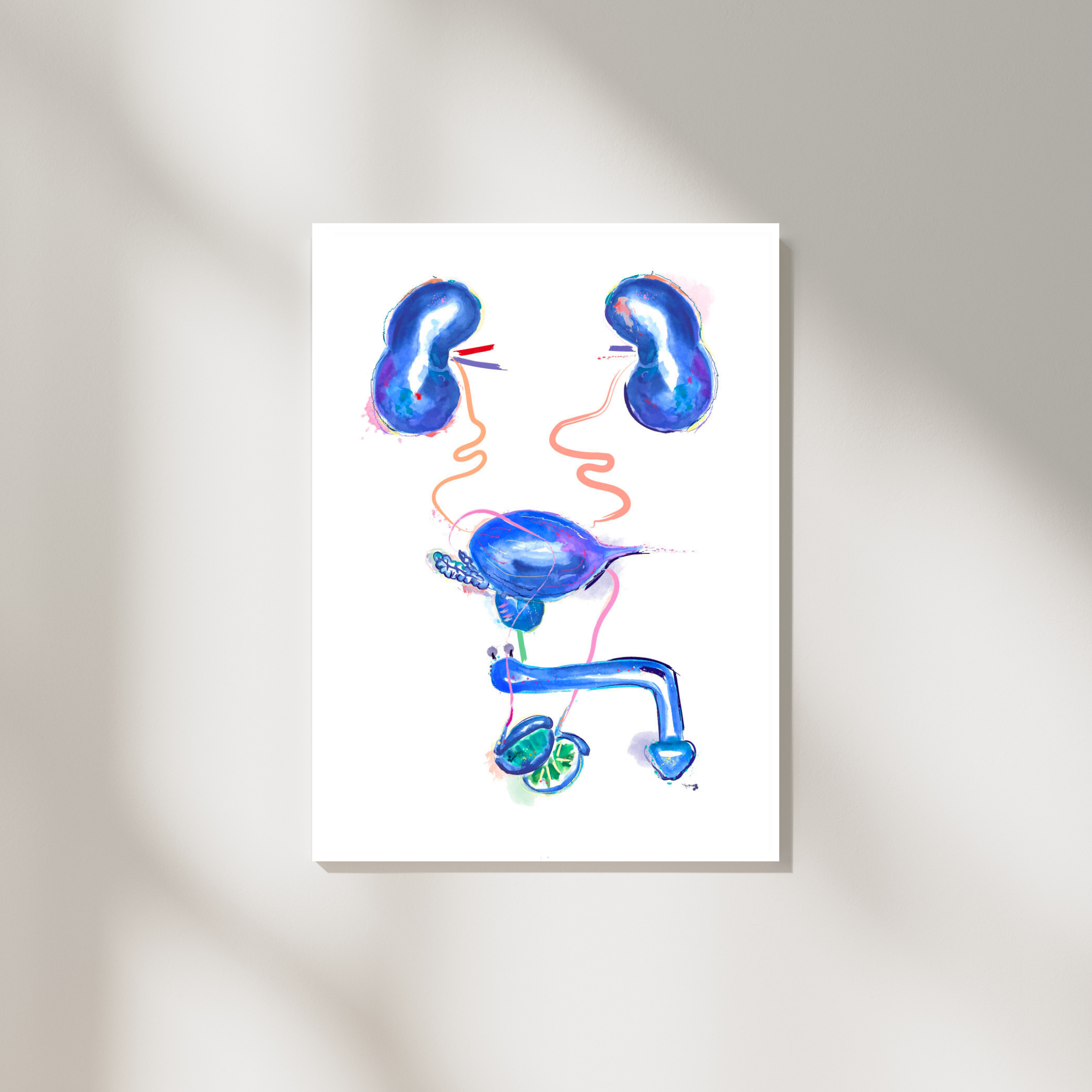 Urology Artwork - medpapers