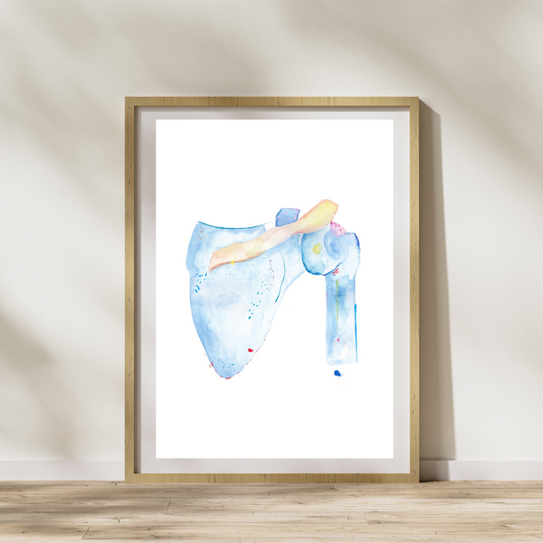 Orthopedic Surgery Tagged "upper limb anatomy" - medpapers