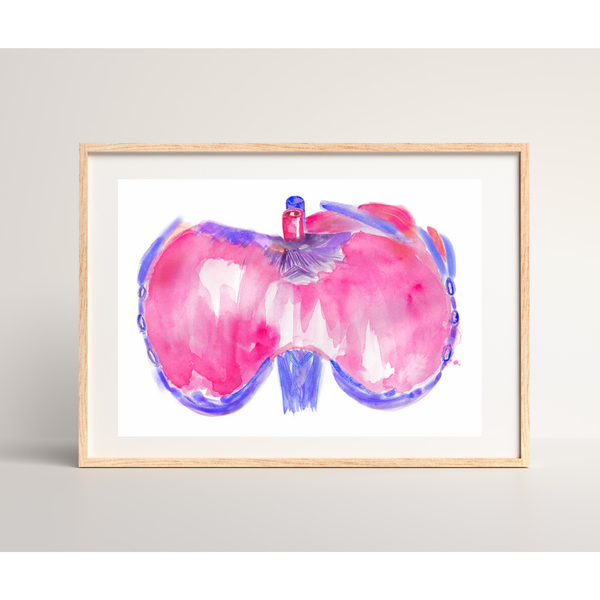 Diaphragm Anatomy Art Print - medpapers