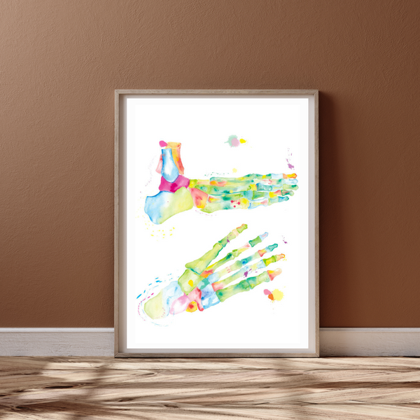Foot Anatomy Art Print - medpapers