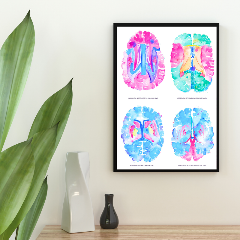 Brain Anatomy Artwork, Neurology Office Decor, Neuroscientist Gift ...