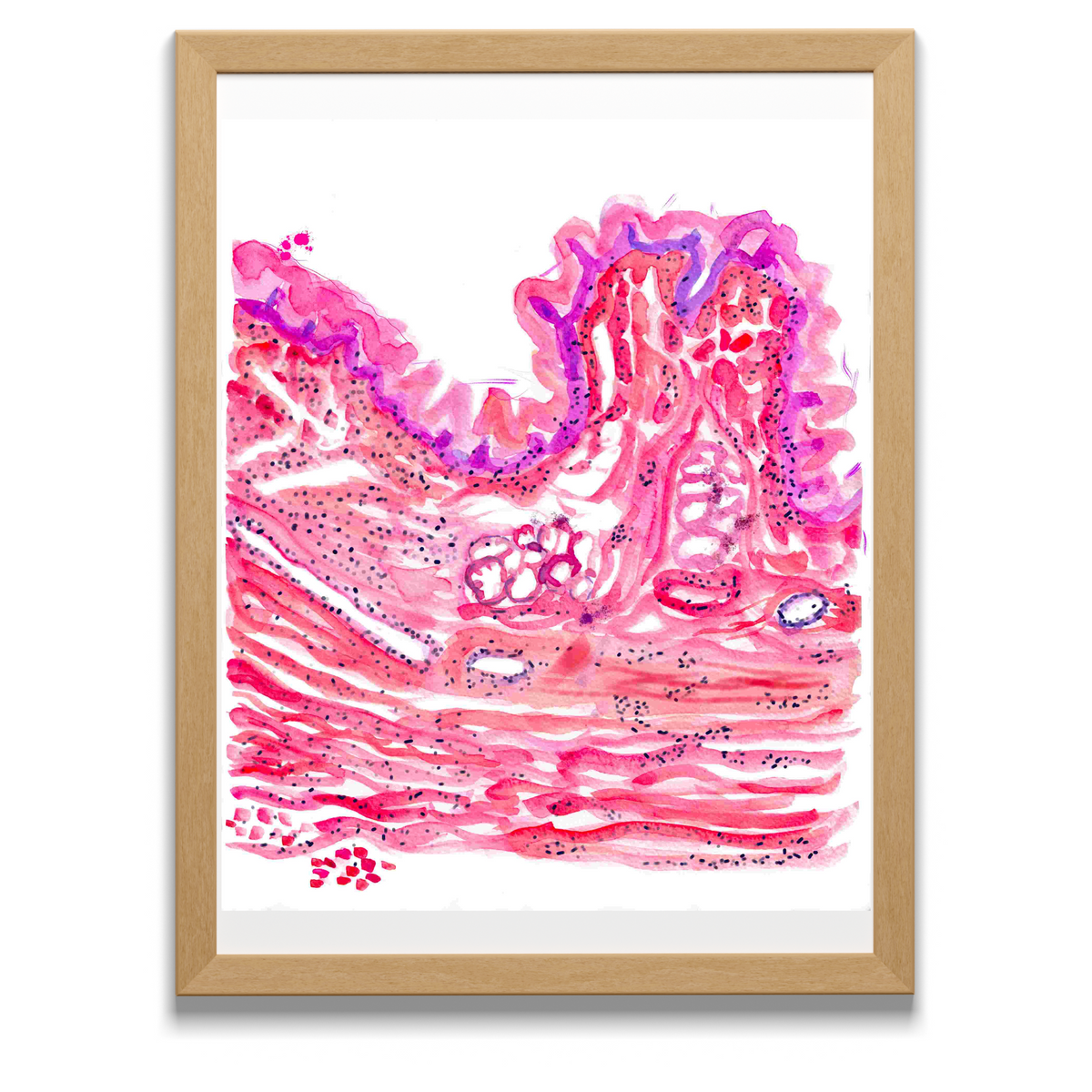 Esophagus Histology Art Print - medpapers