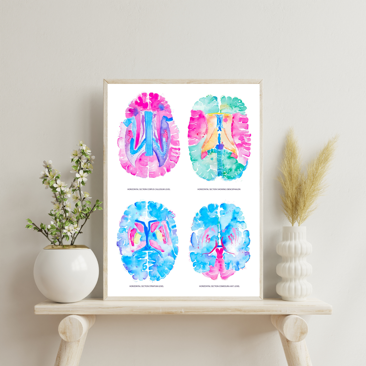 Brain Anatomy Artwork, Neurology Office Decor, Neuroscientist Gift ...