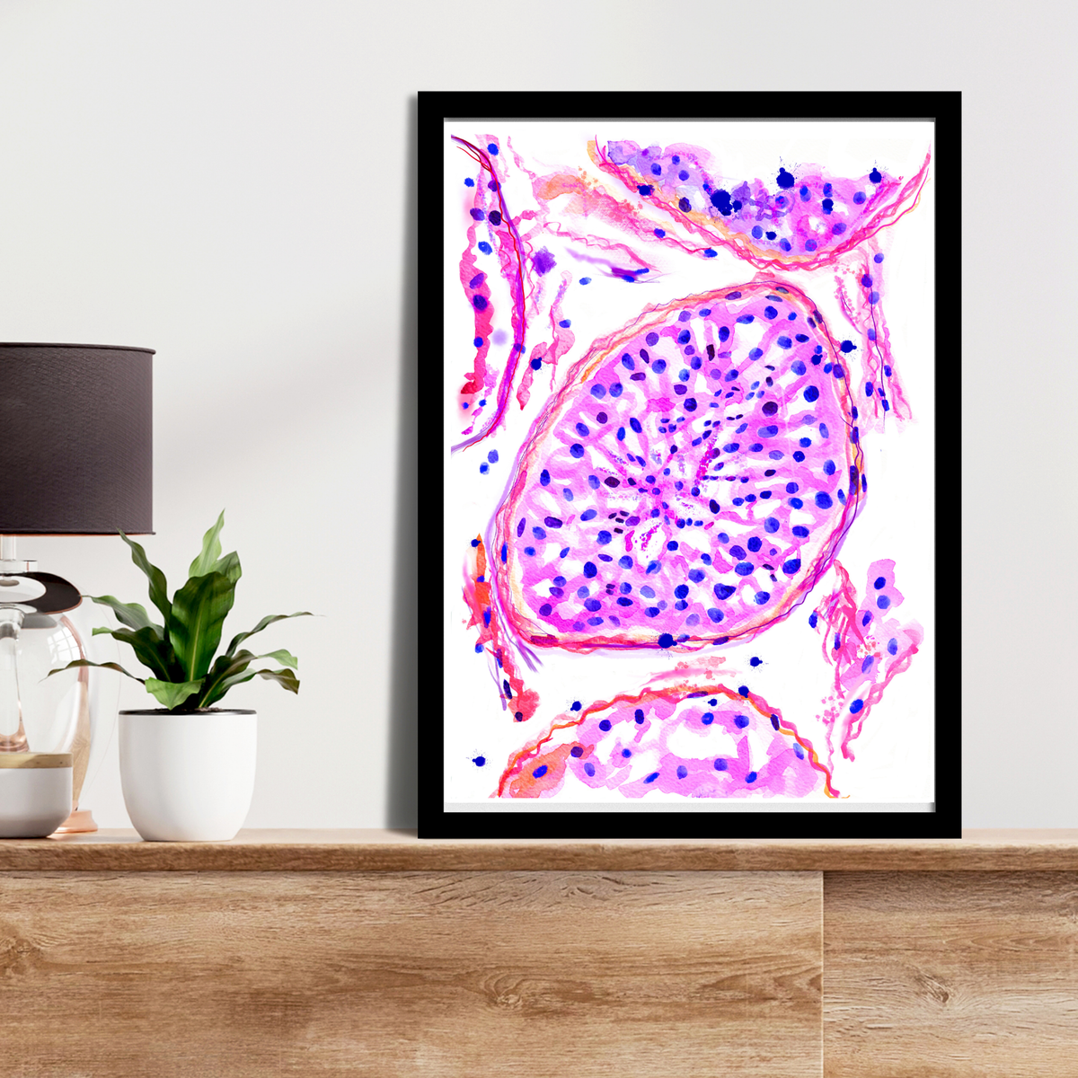 Testis Histology Watercolor Art Medpapers