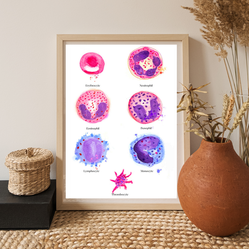 Blood Cell Art - medpapers