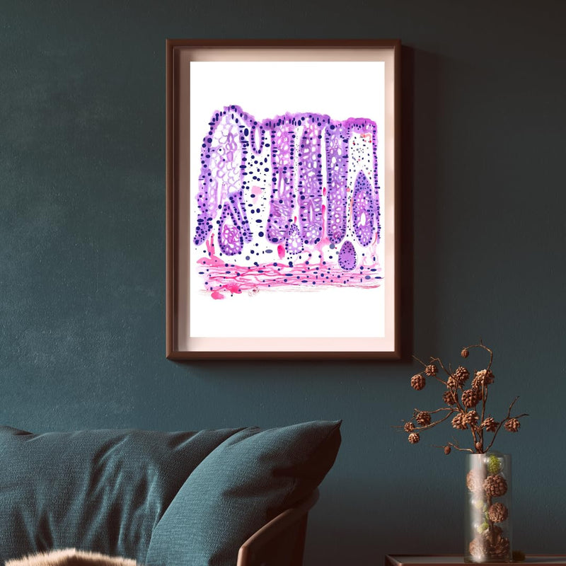 Colon Histology Art Print - medpapers