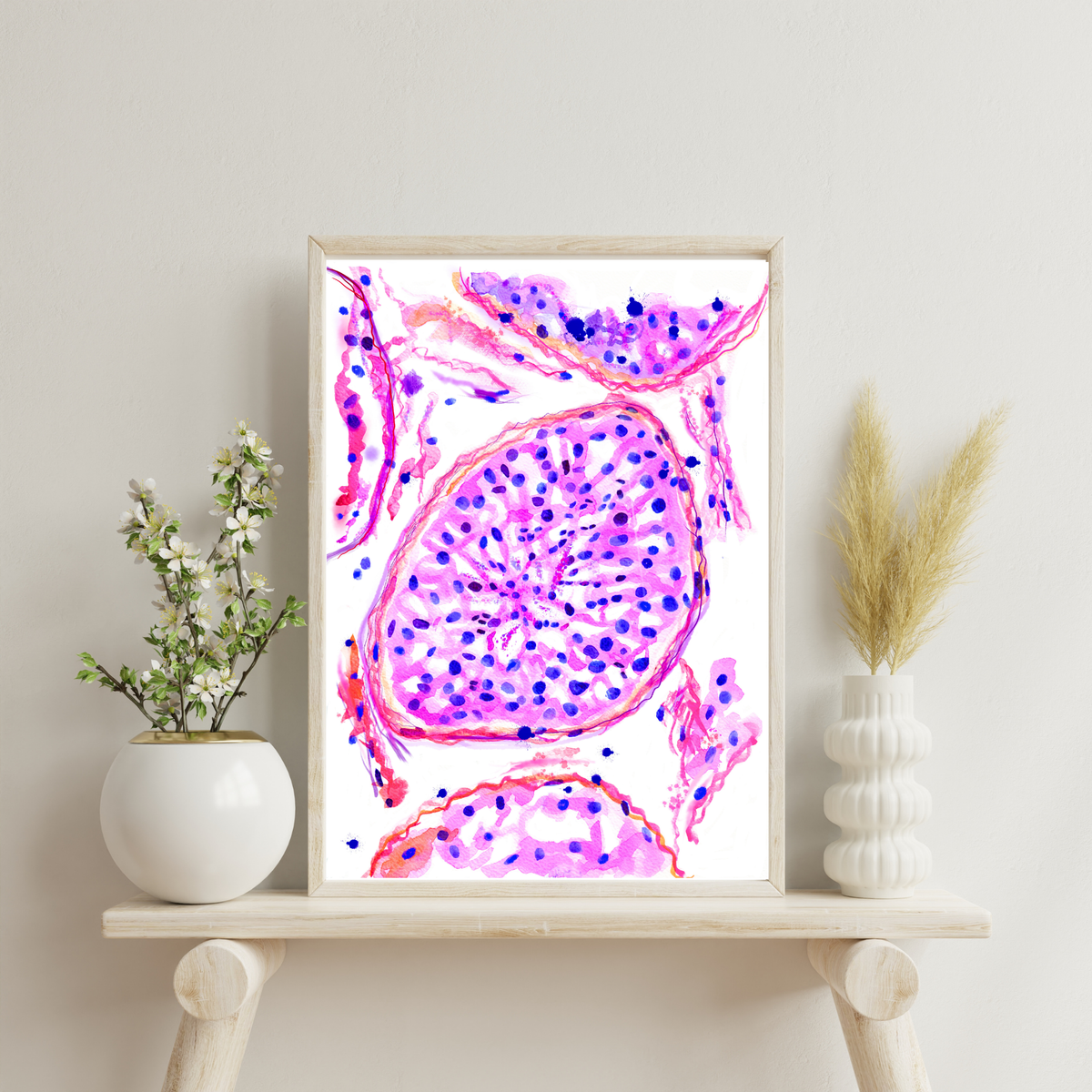Testis Histology Watercolor Art Medpapers
