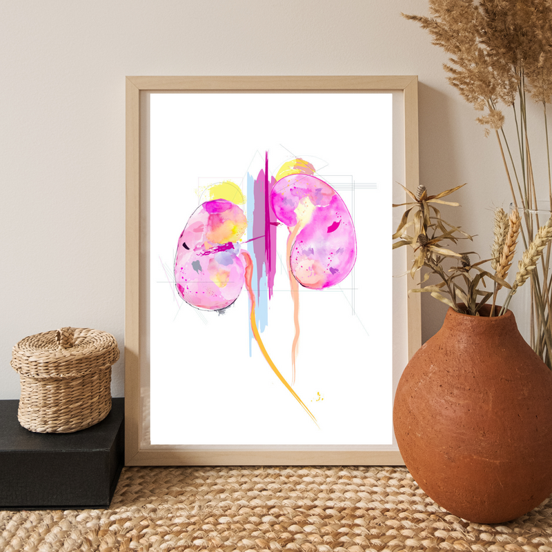 Kidney Art, Abstract Anatomy Art, Nephrology Office Art - medpapers