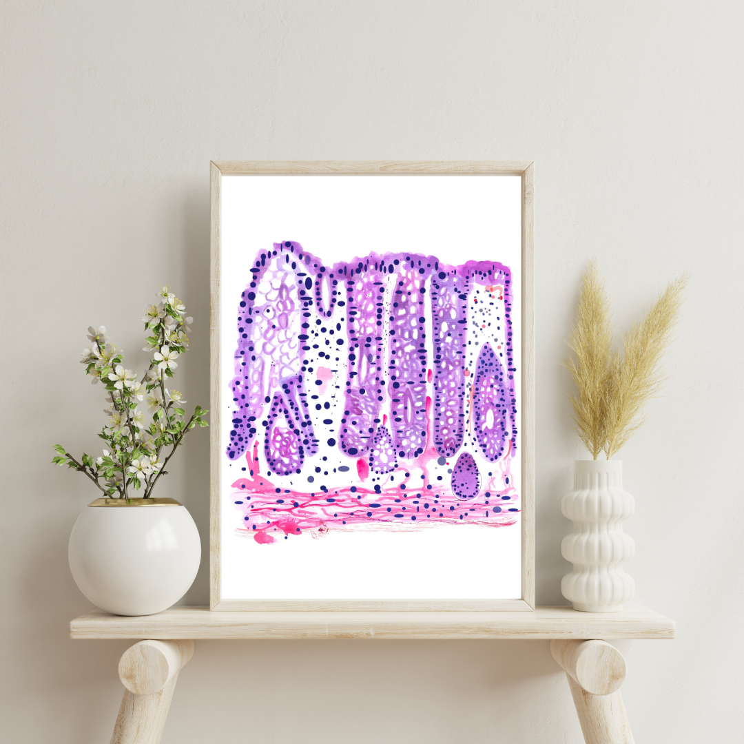 Colon Histology Art Print - medpapers