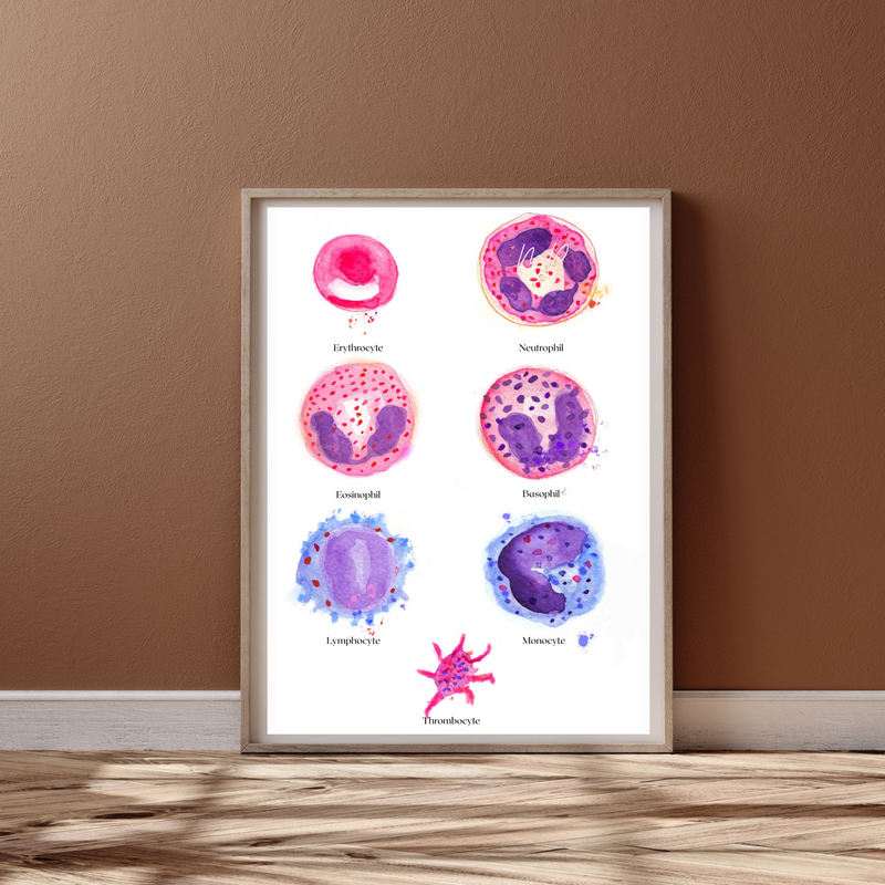 Blood Cell Art - medpapers