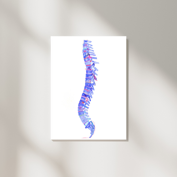 Human Anatomy Spine Abstract Anatomy Art Print, Chiropractic and Physi ...