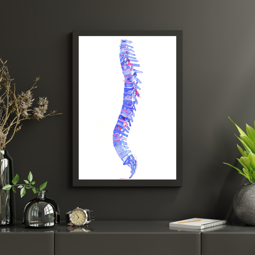 Human Anatomy Spine Abstract Anatomy Art Print, Chiropractic and Physi ...