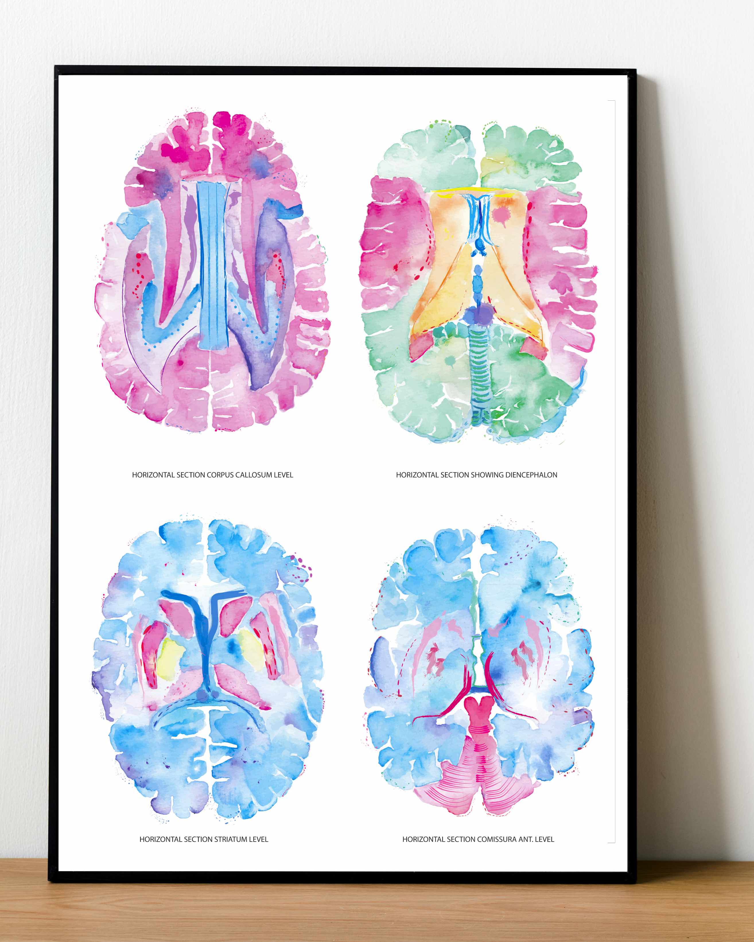 Brain Anatomy Artwork, Neurology Office Decor, Neuroscientist Gift ...