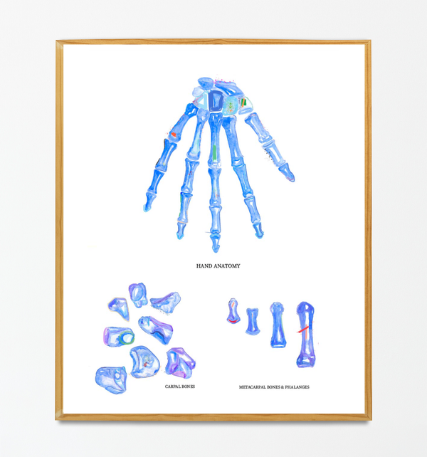 Hand Anatomy Art Print - medpapers