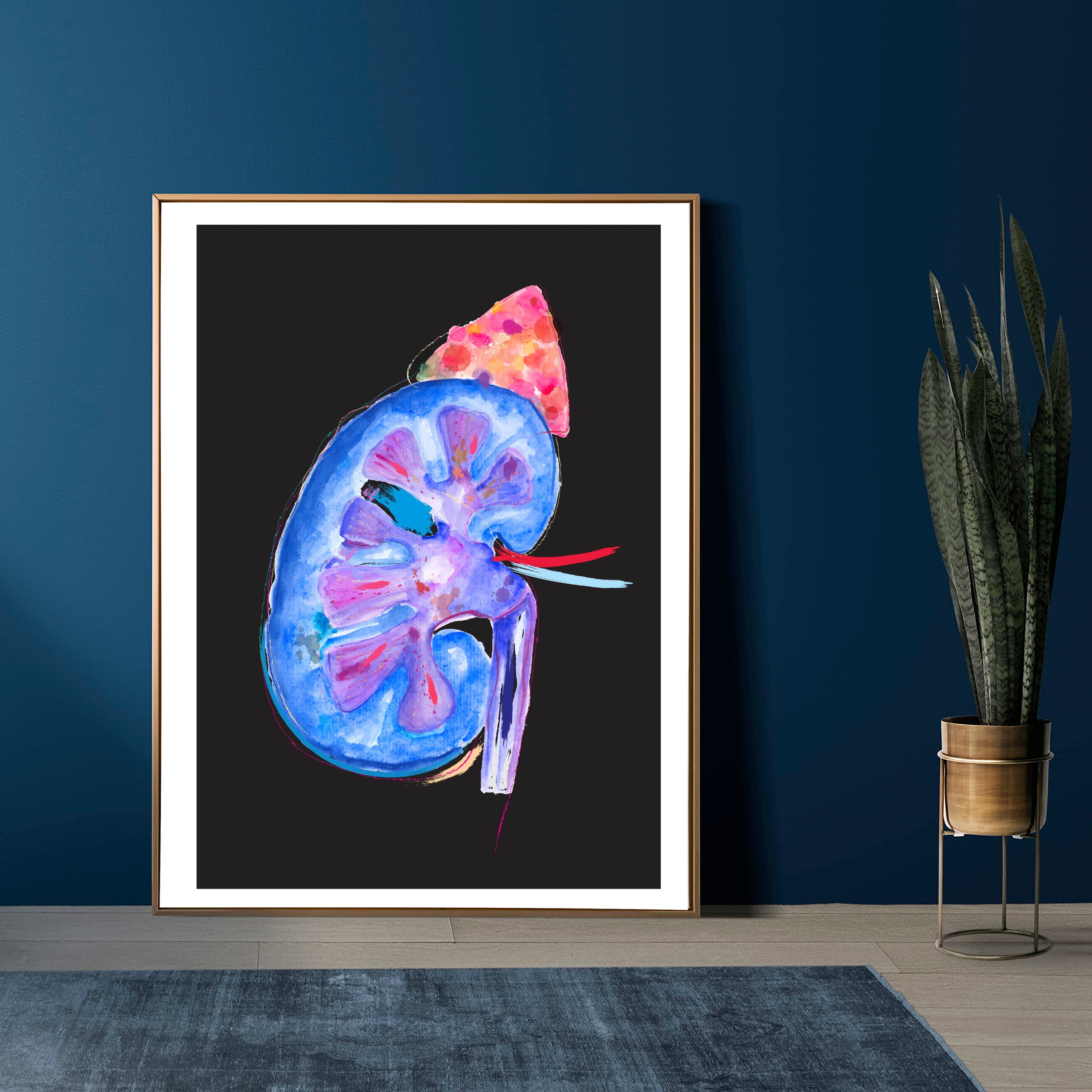 NEPHROLOGY - medpapers