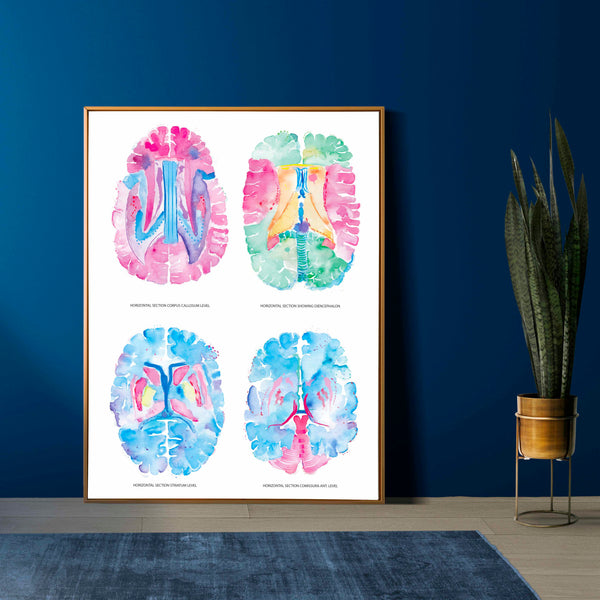 Brain Anatomy Artwork, Neurology Office Decor, Neuroscientist Gift ...