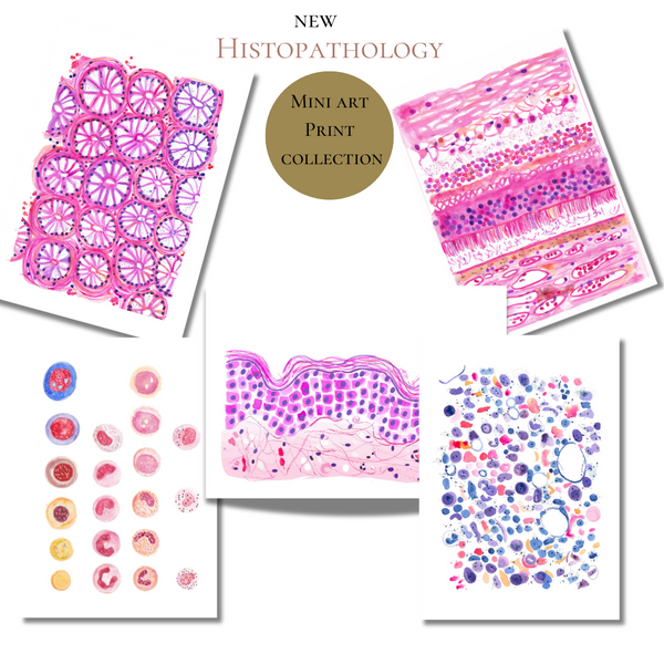 Pathology Card Set of Five - Mini small fine art prints - medpapers