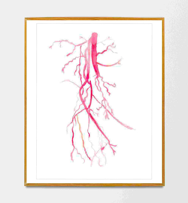 Vascular Art | Radiology | Angiology - medpapers