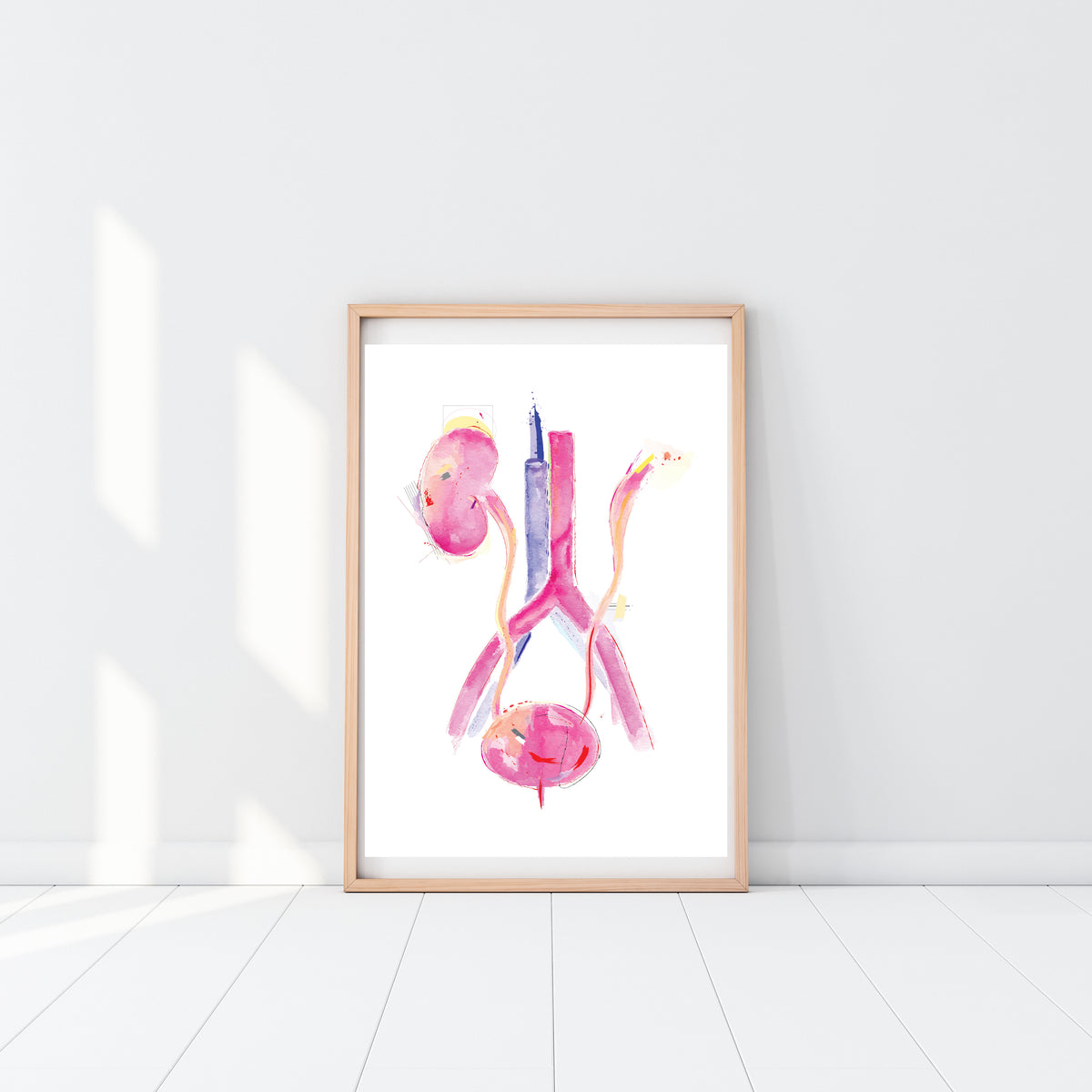 Bladder Anatomy Art Print, Urology Art Print, Nephrology Art Print ...