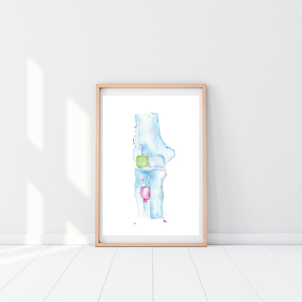 Elbow Anatomy, Orthopedic Surgery and Physical Therapy Office Art Prin ...