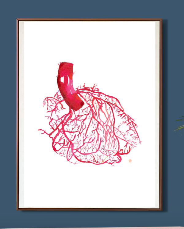 Heart Anatomy Vascularization Art Print - medpapers