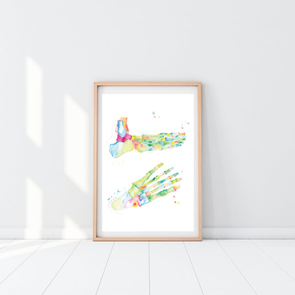 Foot Anatomy Art Print - medpapers