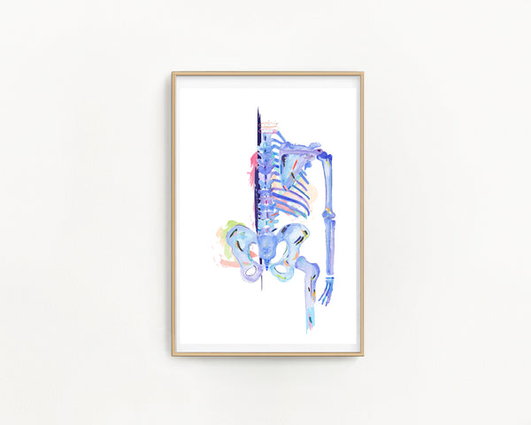 Human Skeleton Abstract Anatomy Art Print - medpapers