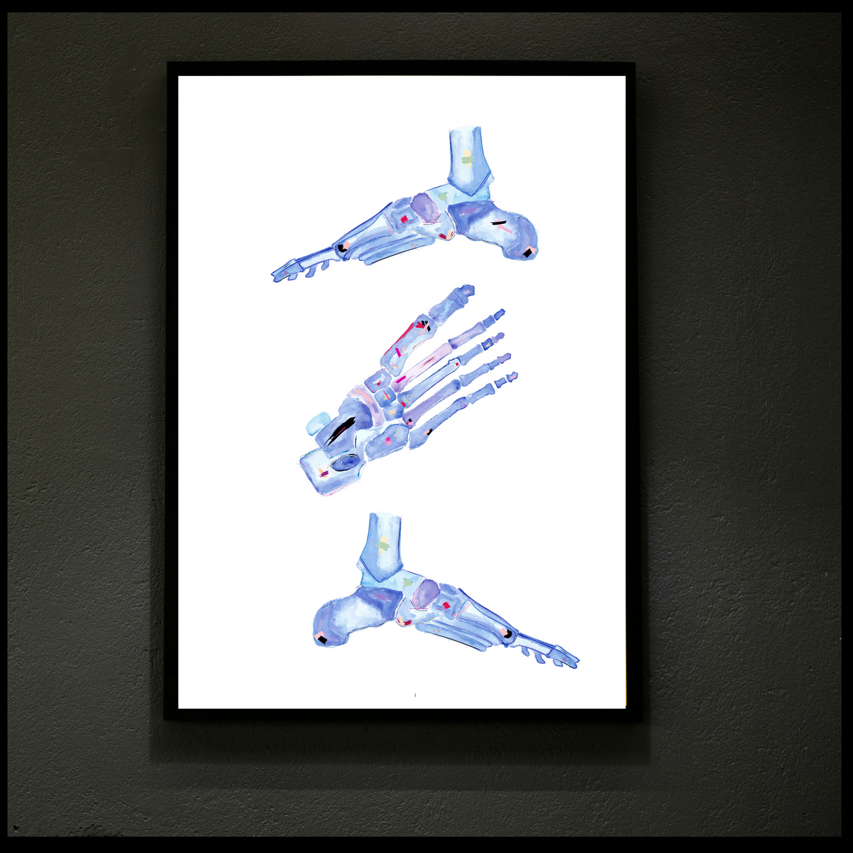 Foot Anatomy Art, Orthopedic Surgery Art, Podiatry Art Print - medpapers
