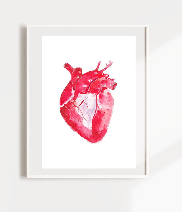 Heart Anatomy and Histology Art Print, Histopathology Art, Pathology A ...