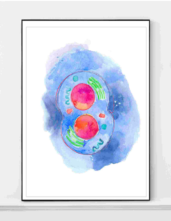 Cell Division Art, Biology Art, Genetic Art Print, Physiology Art, Bio ...
